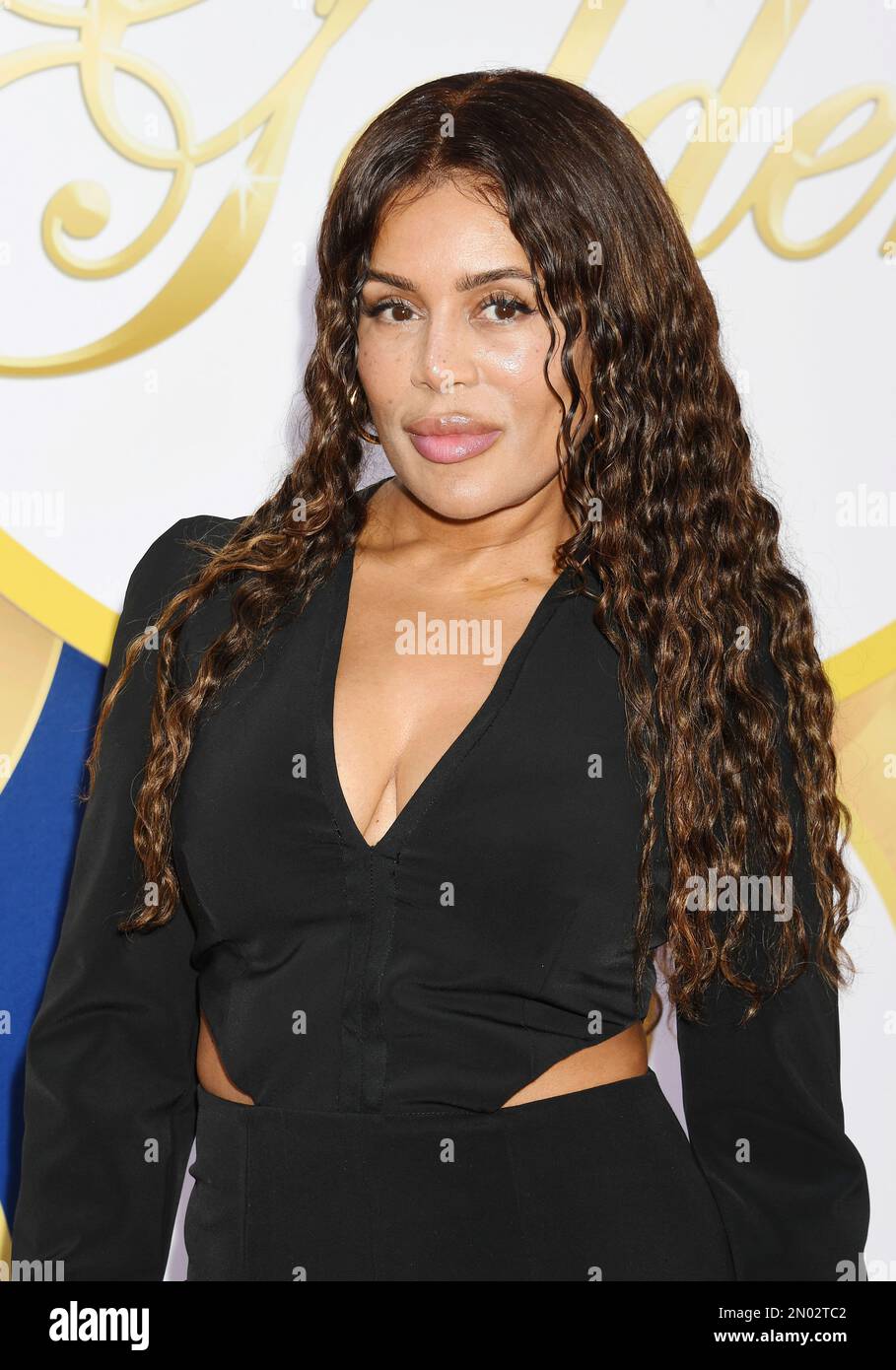 BEVERLY HILLS, CALIFORNIA - FEBRUARY 04: Kai Milla Wonder attends the ...