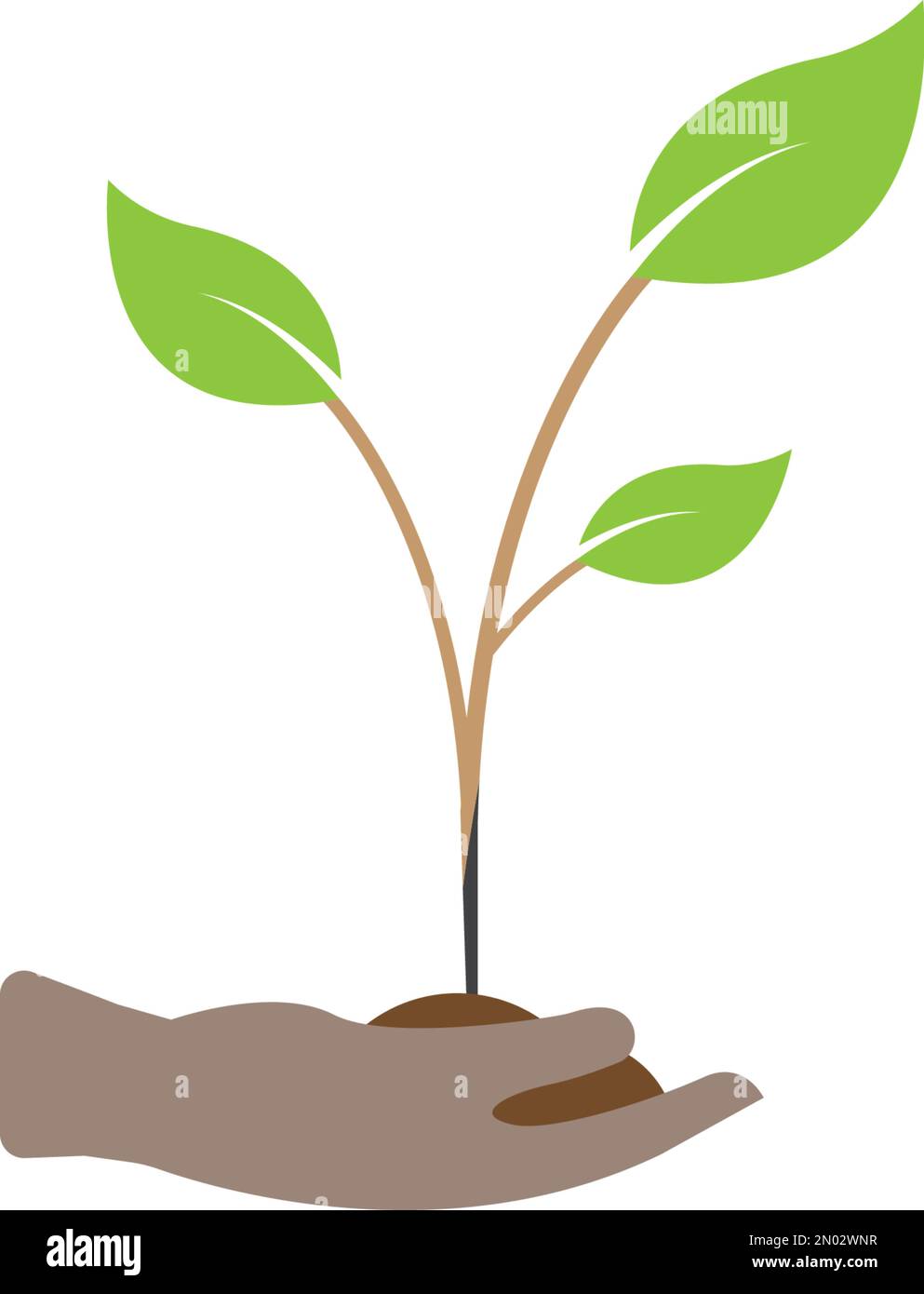 plant logo vector design illustration background template Stock Vector ...