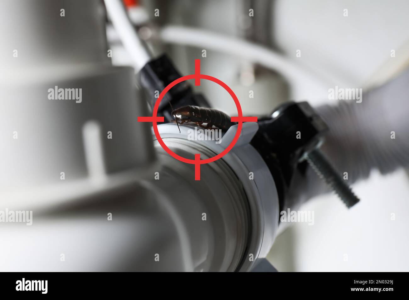 Cockroach with red target symbol on white pipe, closeup. Pest control ...