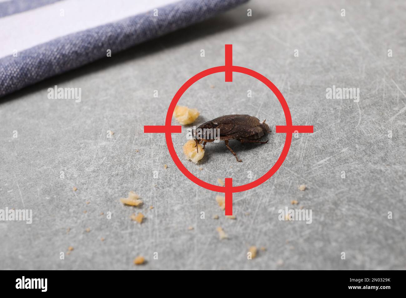Cockroach with red target symbol on grey table. Pest control Stock ...