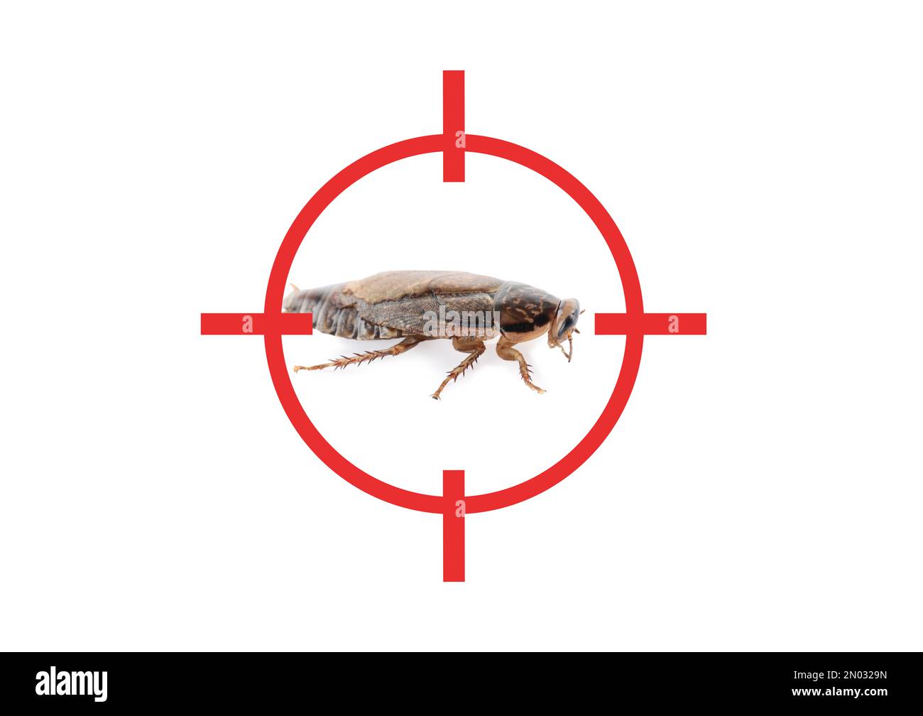 Cockroach with red target symbol on white background. Pest control ...