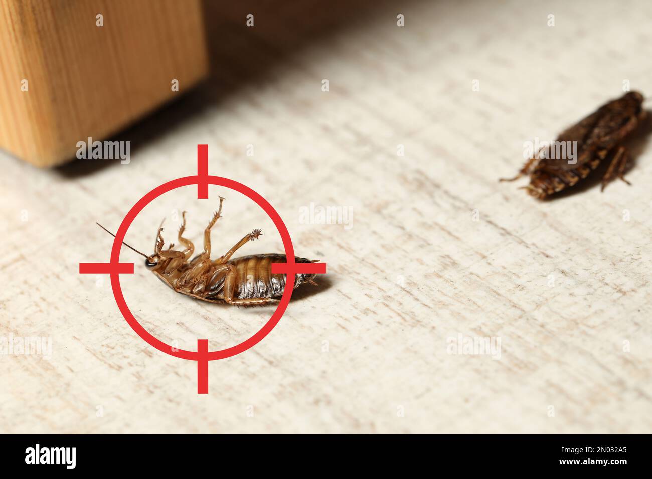 Rid symbol hi-res stock photography and images - Alamy