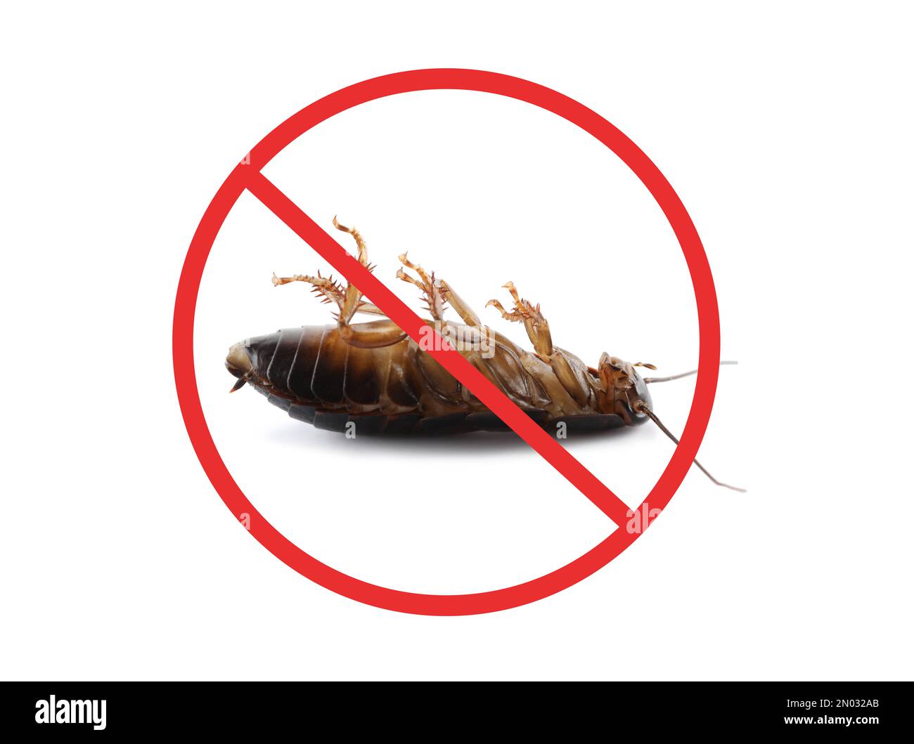 Dead cockroach with red prohibition sign on white background. Pest ...