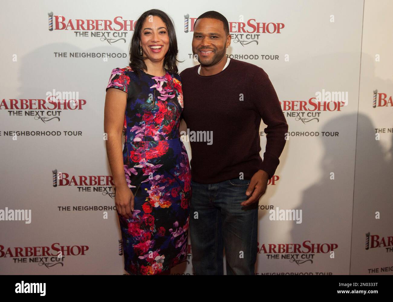 Actors Liz Dozier and Anthony Anderson at the Chicago premiere of ...