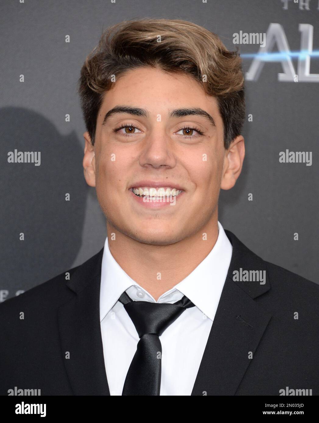 Daniel Lara of "Damn Daniel" fame attends the premiere of "Allegiant ...