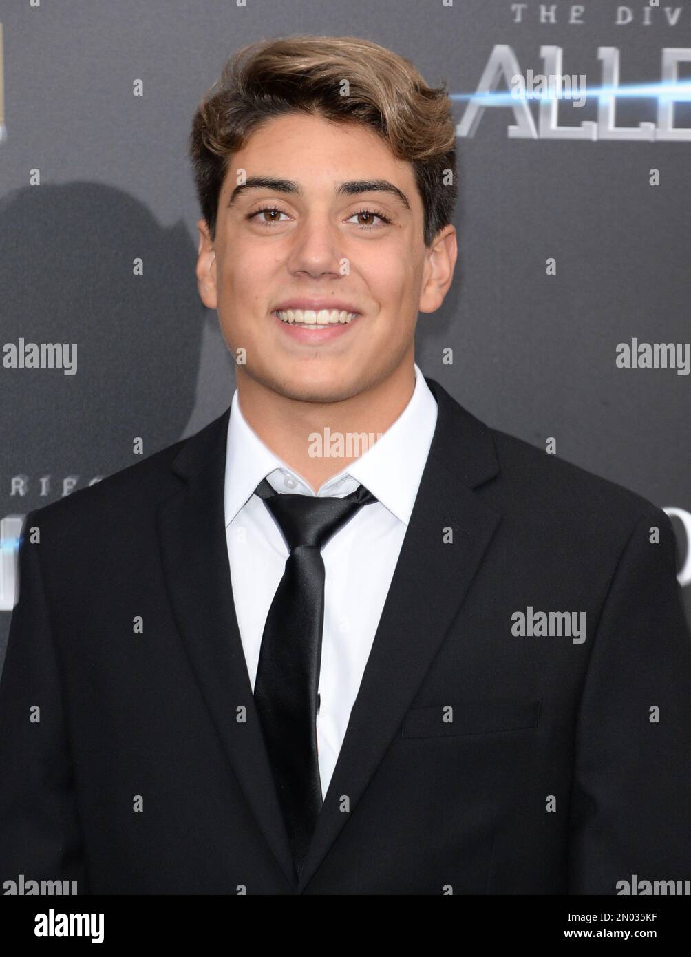 Daniel Lara of "Damn Daniel" fame attends the premiere of "Allegiant ...