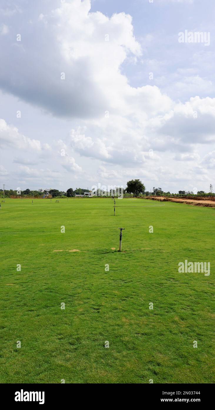 Fully grown lawn ready for cultivation. Cultivation outskirts of ...