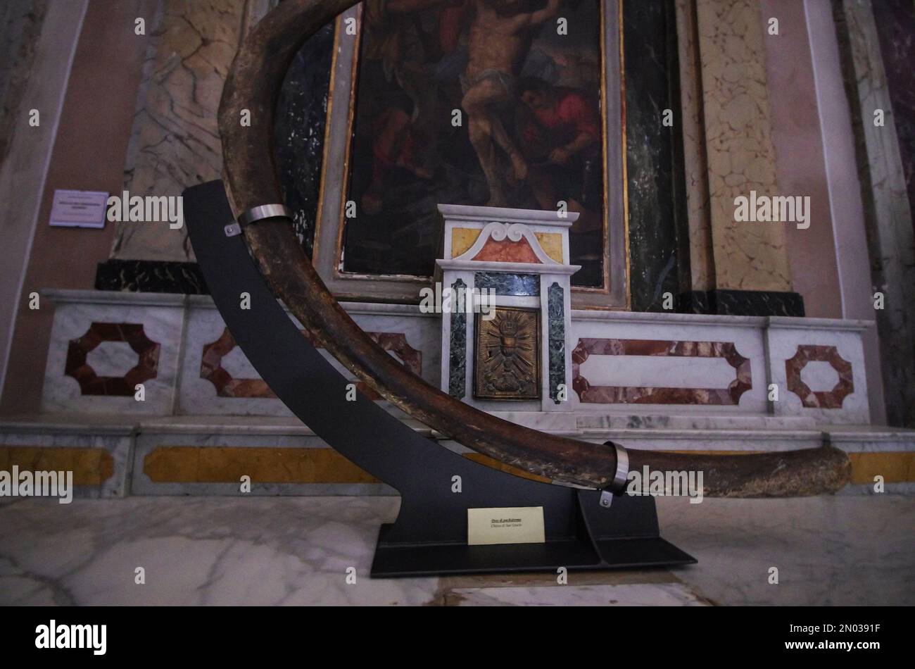 Rib of the dragon preserved in a case inside the Church of San Leucio ...
