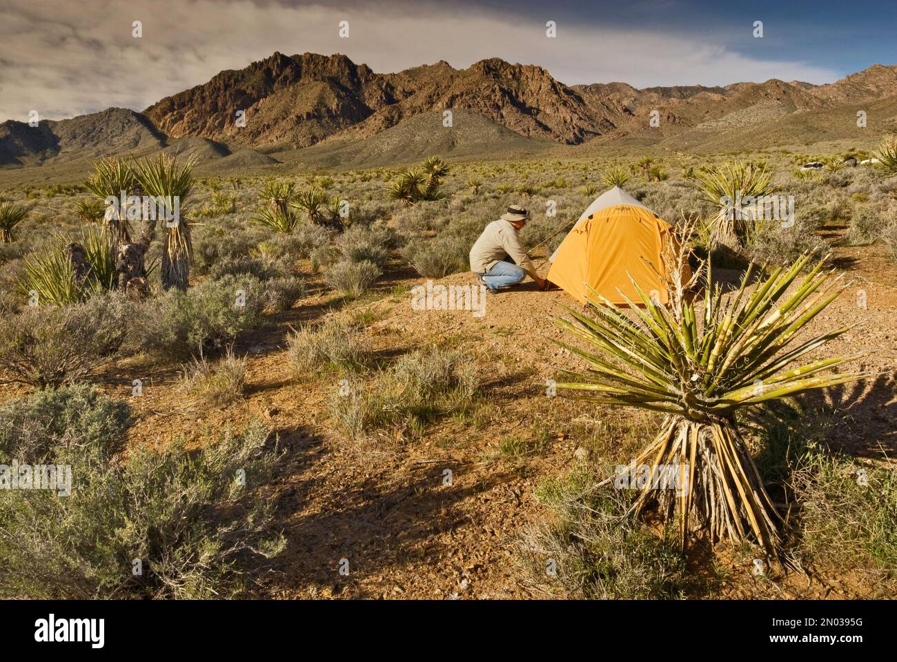 Camper at campsite in Kingston Range mountains in Mojave Desert ...