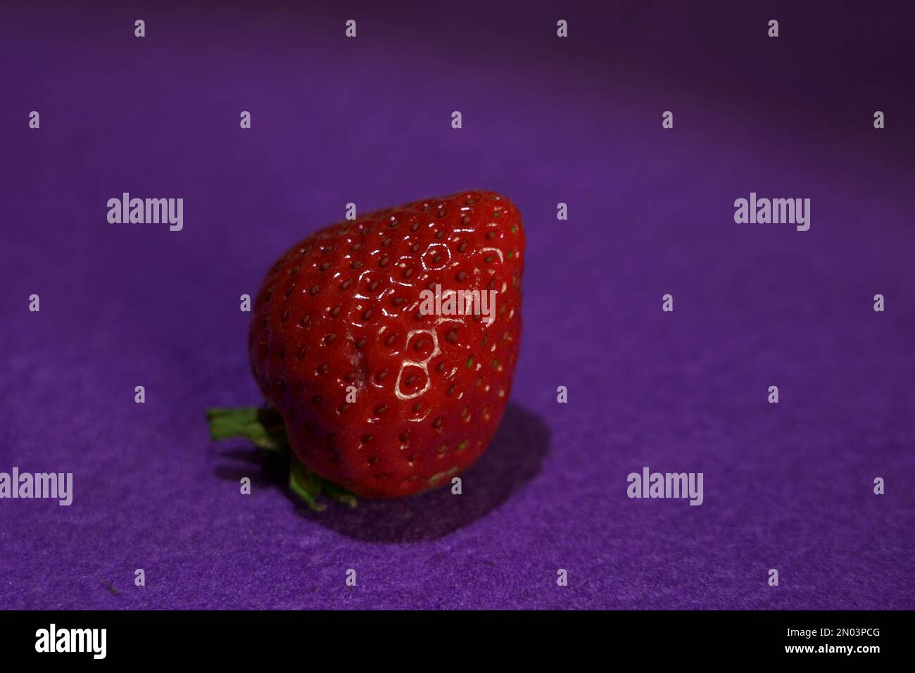 red strawberry with a violet background Stock Photo - Alamy