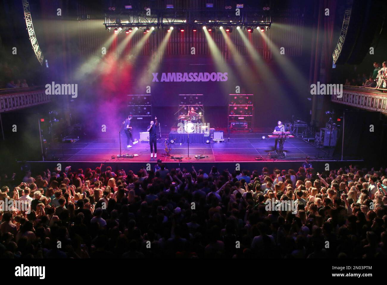 Sam Harris, Casey Harris, Noah Feldshuh and Adam Levin with X ...