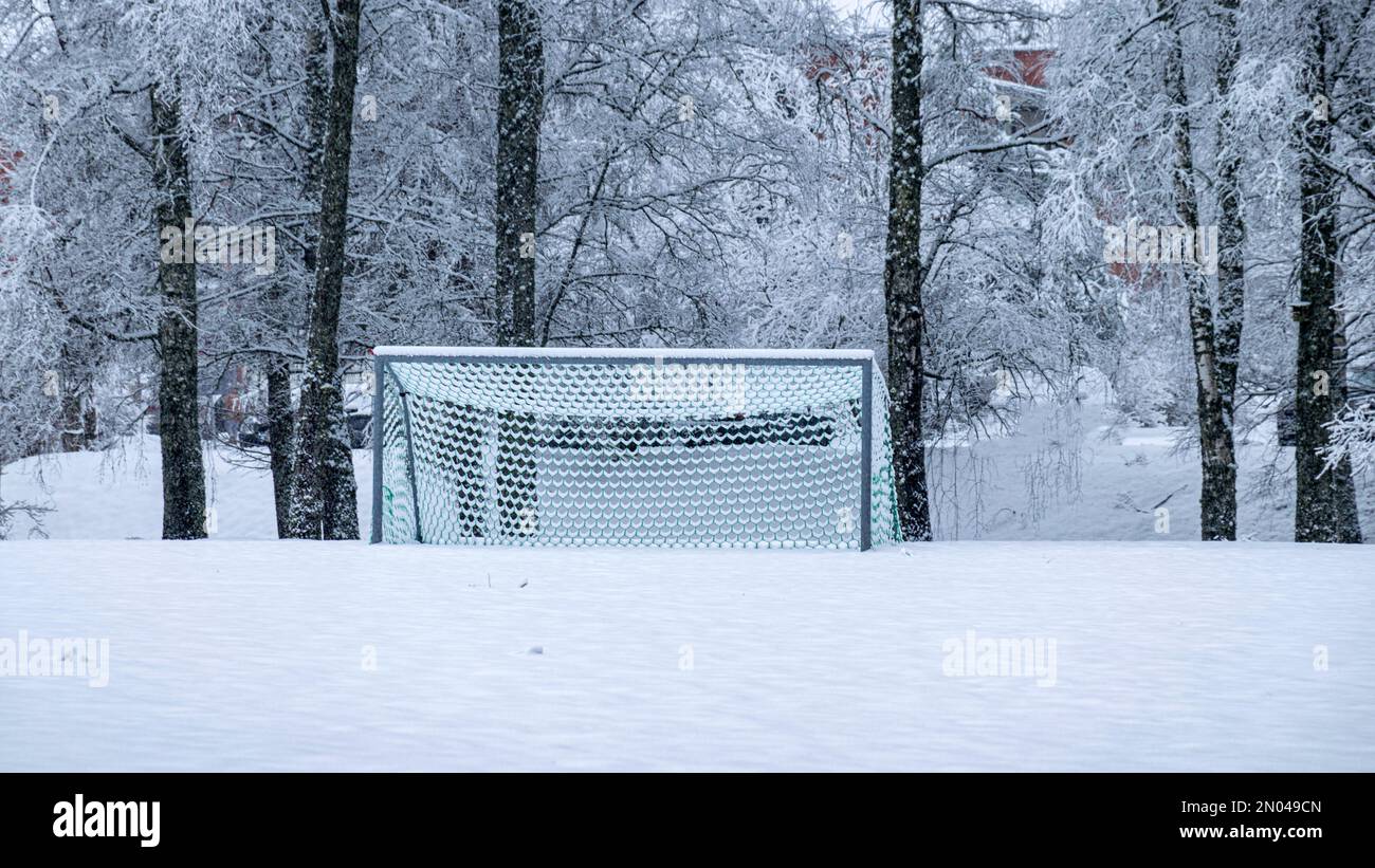 soccer goal on sports field, snow blanket covers tree and bush branches ...