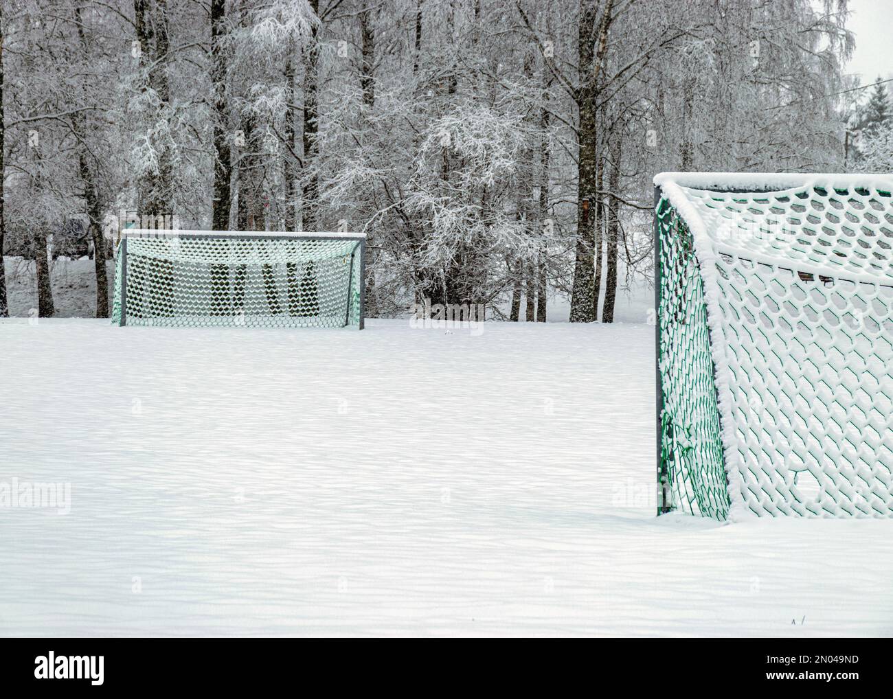 soccer goal on sports field, snow blanket covers tree and bush branches ...