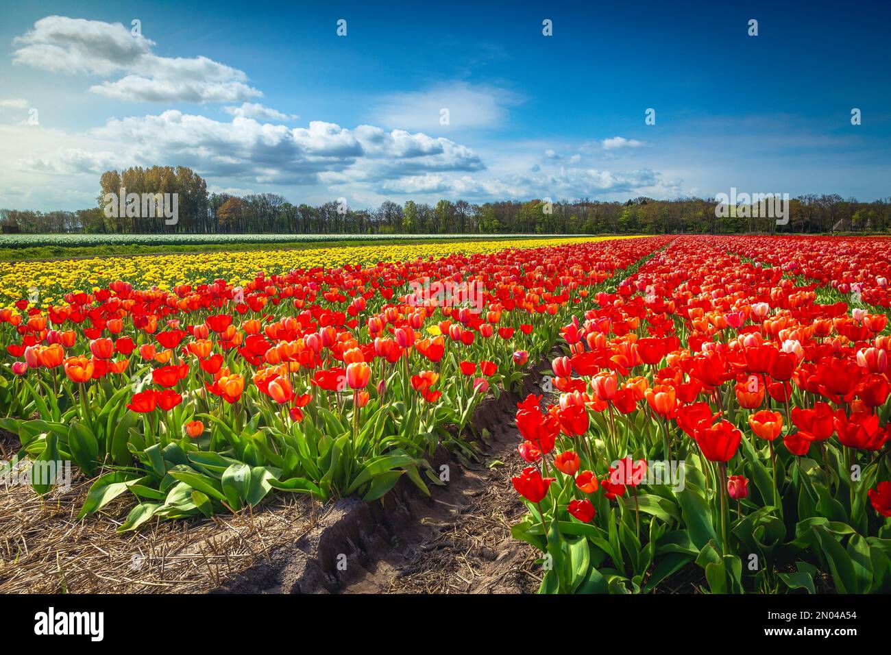 Picturesque farmland and agricultural plantation with various colorful ...