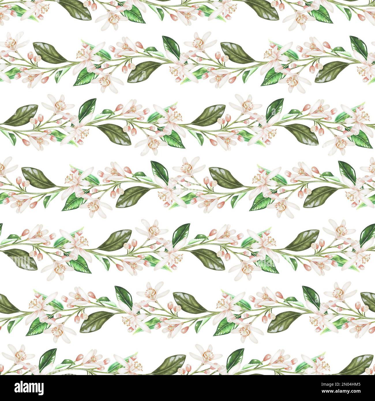 Seamless pattern of sprigs of citrus flowers. White buds of lemon ...