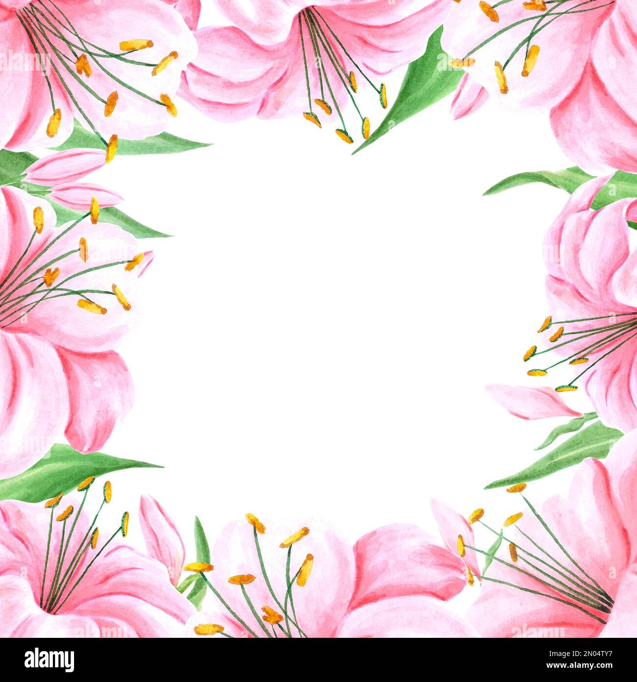 Handdrawn lily flowers frame boarder. Watercolor pink lily on the white ...