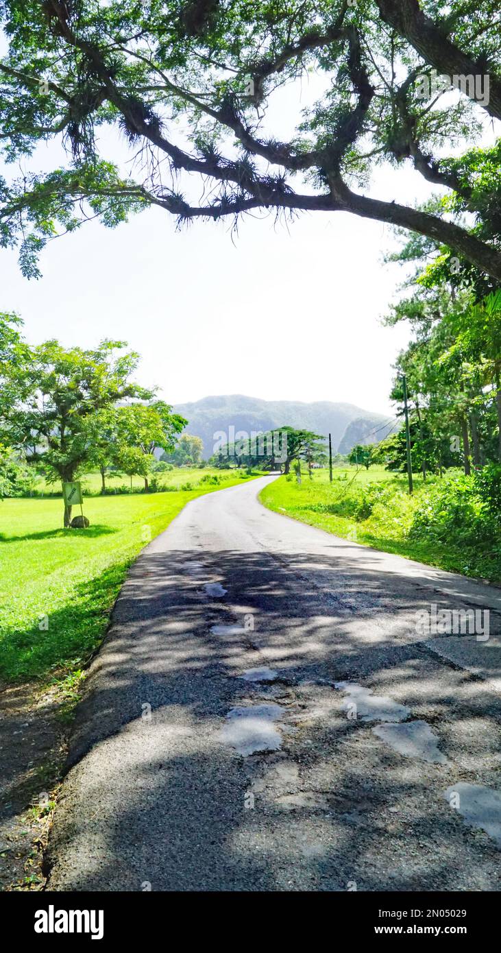 natural landscape and Mural in the Valley of Viñales in the Republic of ...