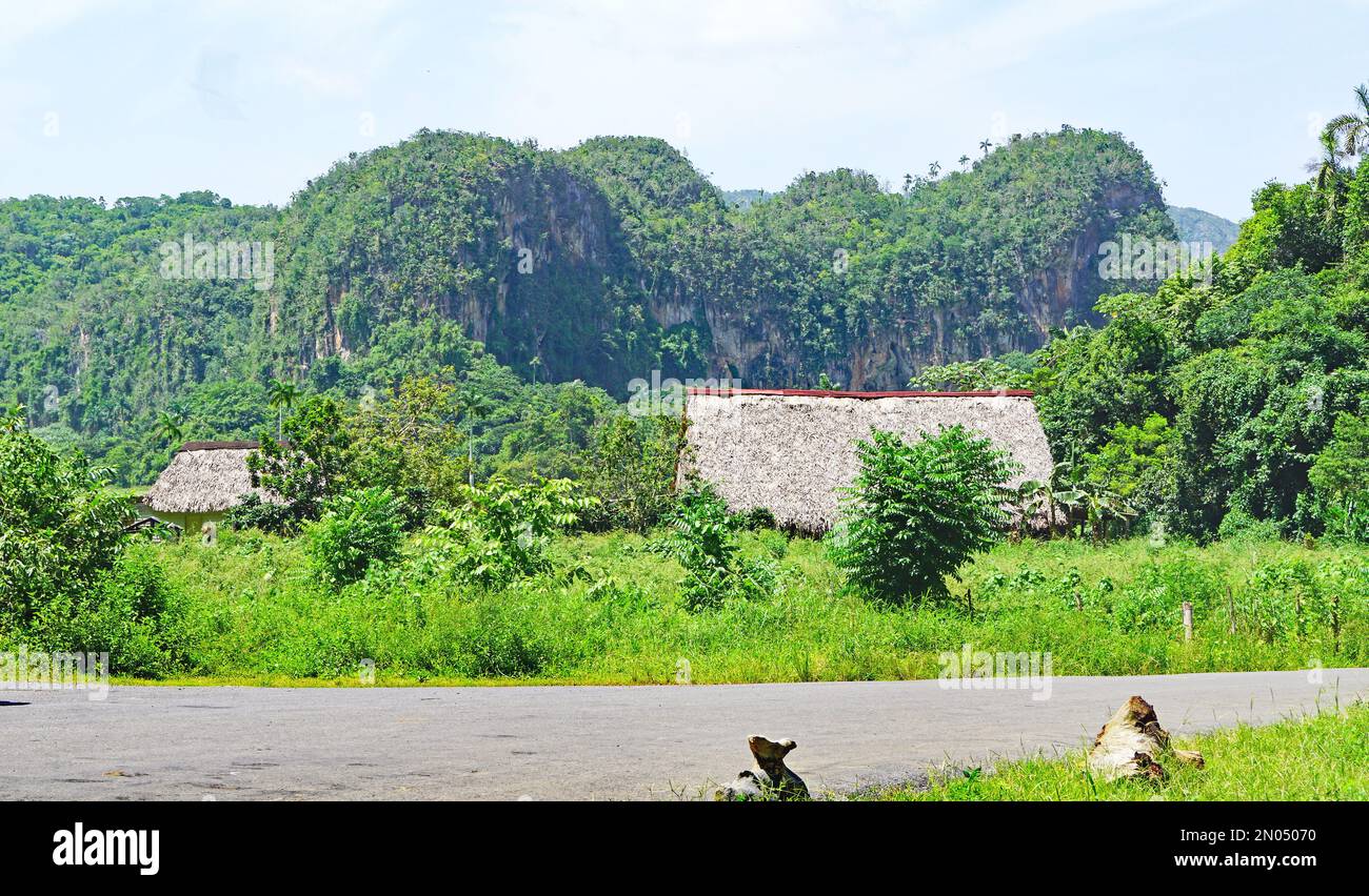 natural landscape and Mural in the Valley of Viñales in the Republic of ...