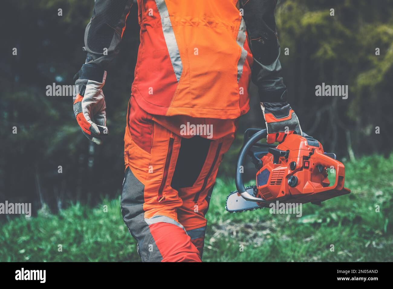 Forestry clearing saws hi-res stock photography and images - Alamy