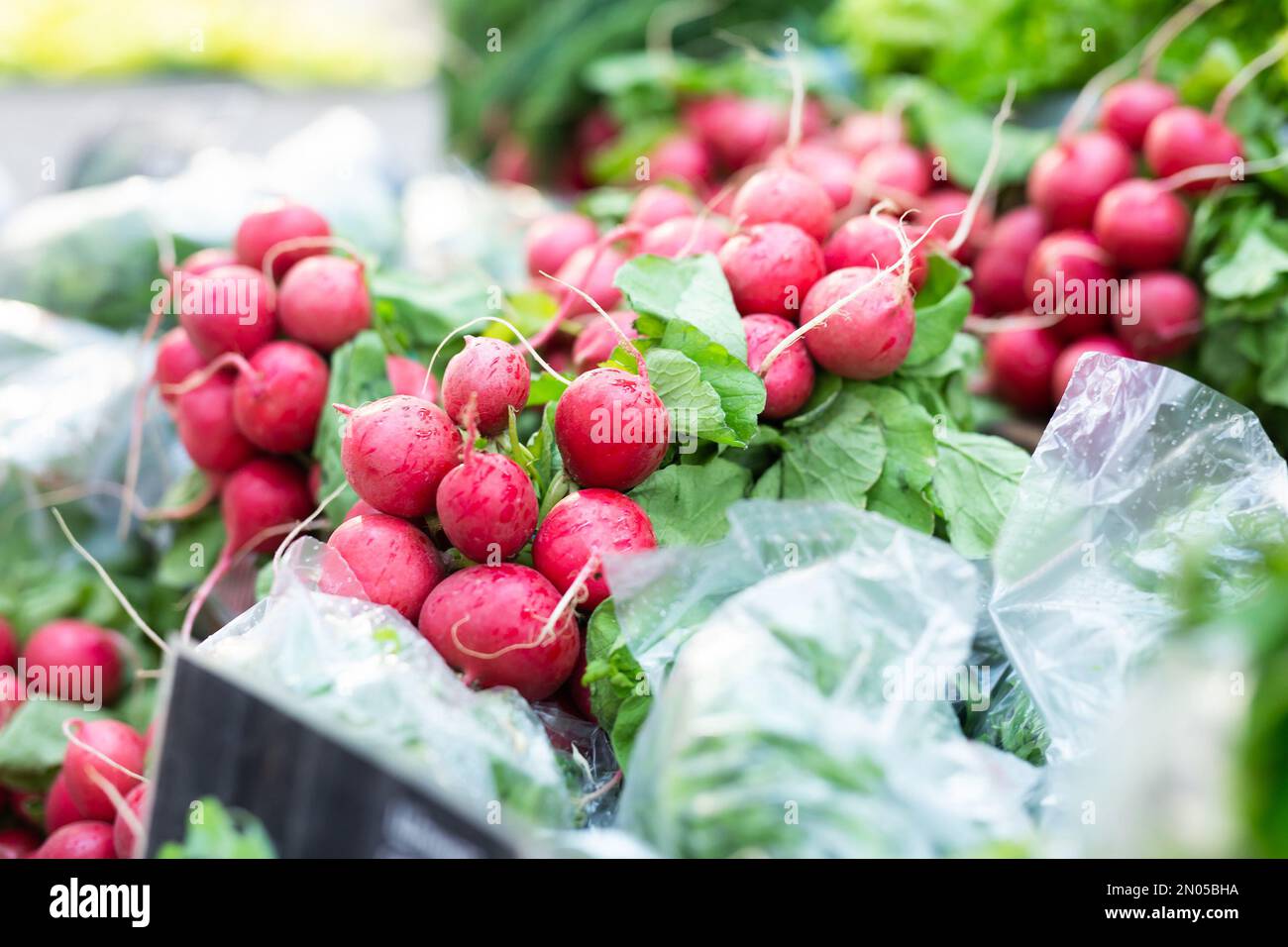 bunches of fresh radishes on store counter Stock Photo - Alamy
