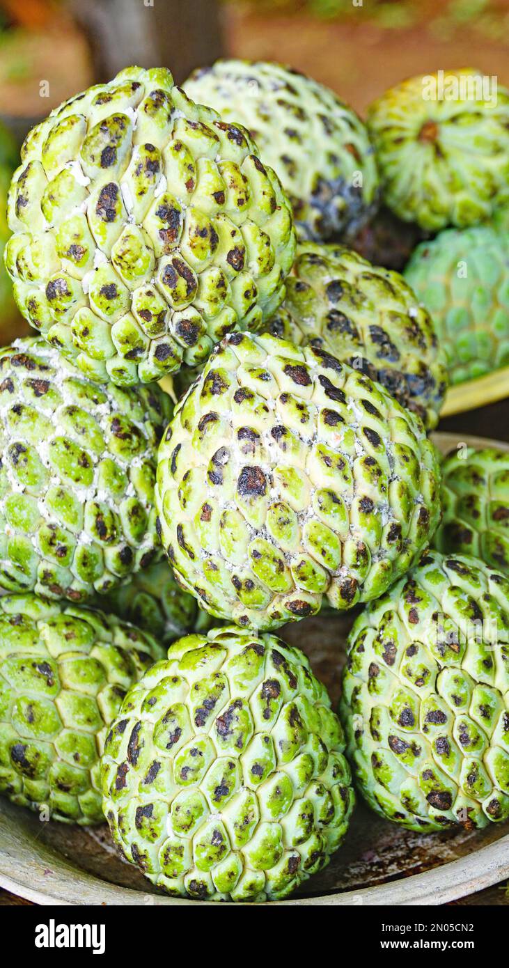 Tropical fruits in street stalls of the Republic of Cuba, Cuba Stock ...