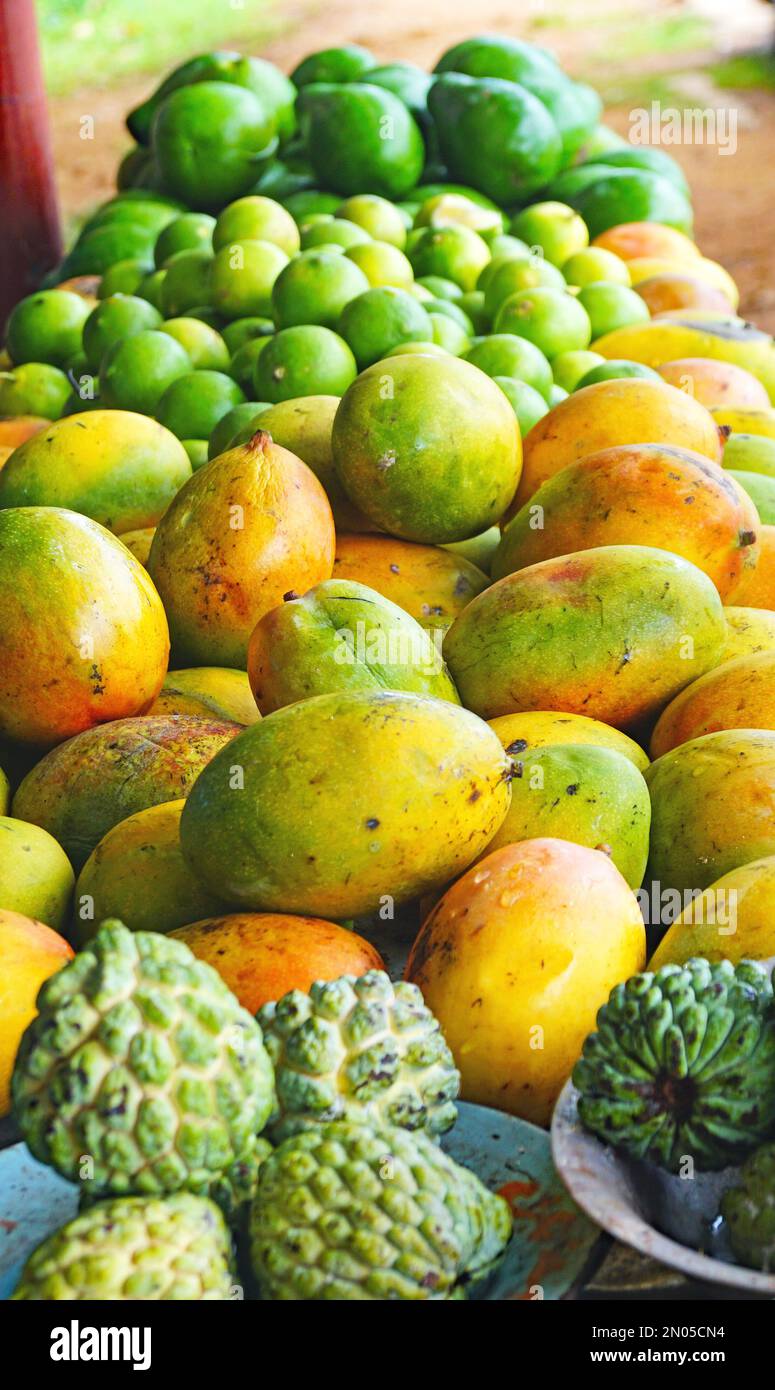 Tropical fruits in street stalls of the Republic of Cuba, Cuba Stock ...