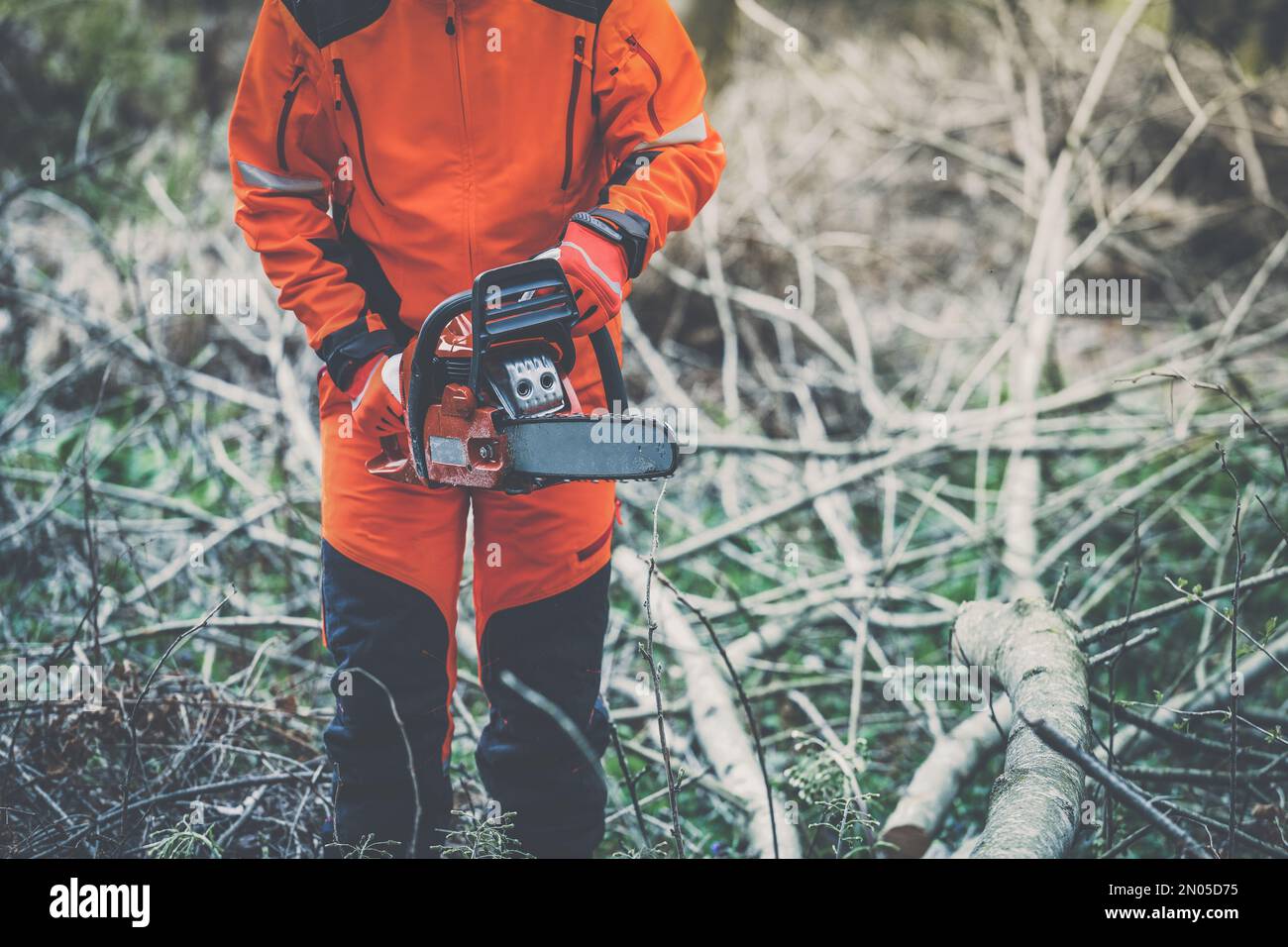 Forestry clearing saws hi-res stock photography and images - Alamy