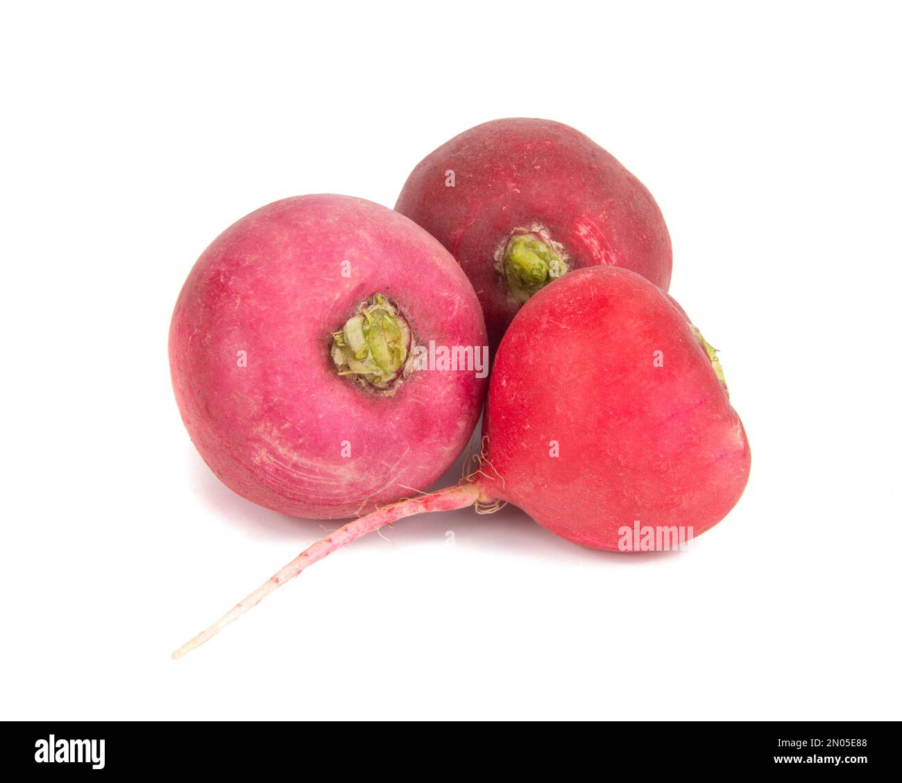 Small pink radish Cut Out Stock Images & Pictures - Alamy