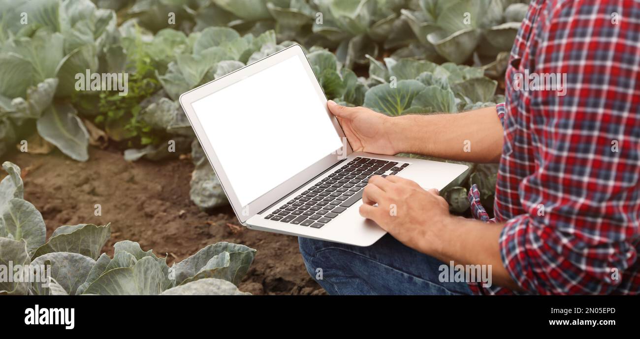 Man using laptop with blank screen in field, closeup. Agriculture ...