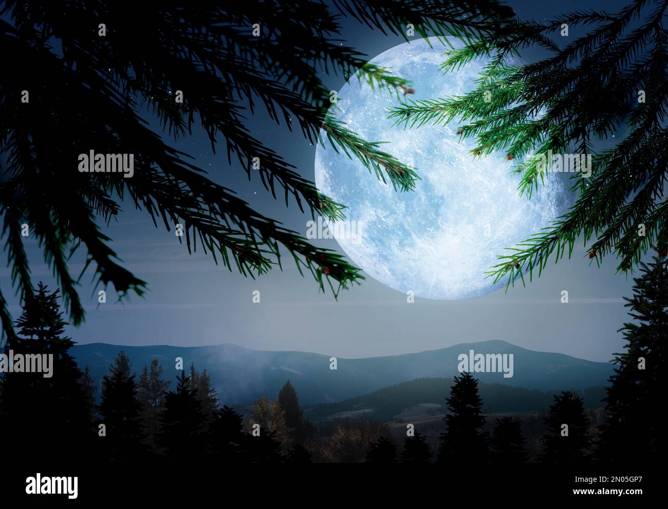 Full moon through trees in hi-res stock photography and images - Alamy