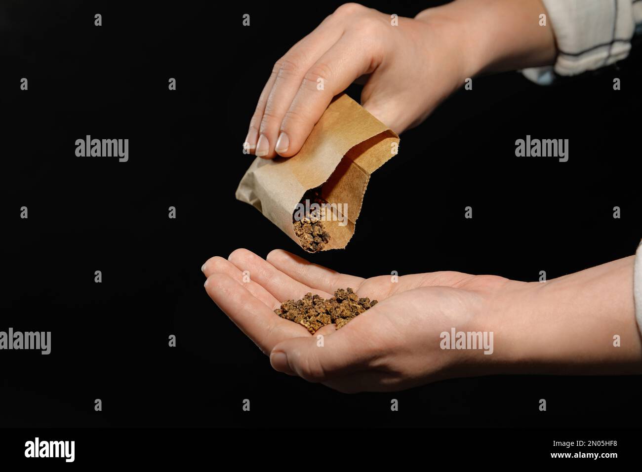 Woman pouring beet seeds from paper bag into hand on black background ...