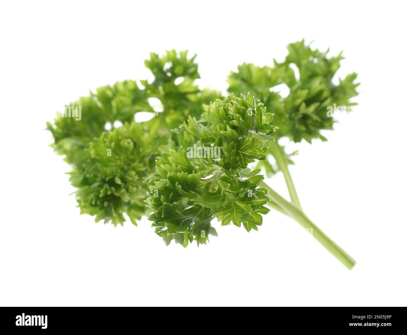 Fresh green curly parsley on white background Stock Photo - Alamy