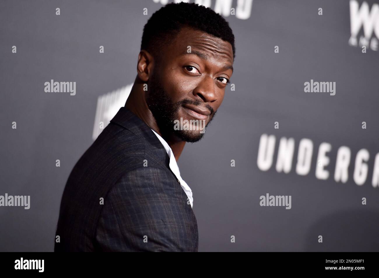 Actor Aldis Hodge arrives at the LA Premiere of "Underground" held at ...