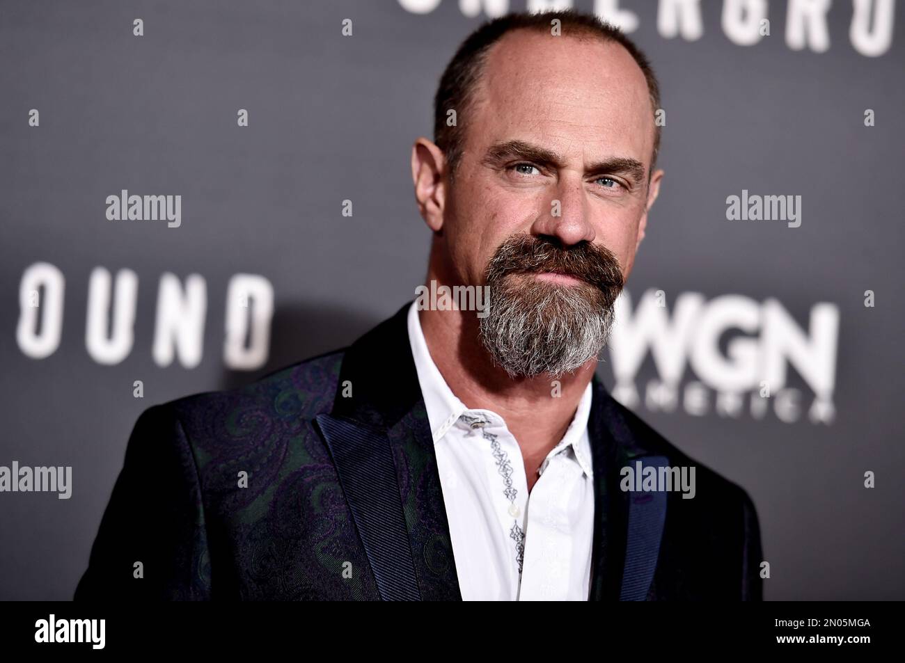 Actor Christopher Meloni arrives at the LA Premiere of "Underground ...