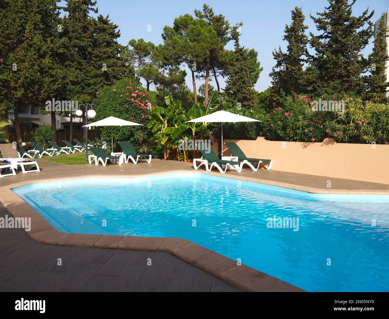 Typical hotel pool with sunbeds in Algarve Portugal Stock Photo - Alamy