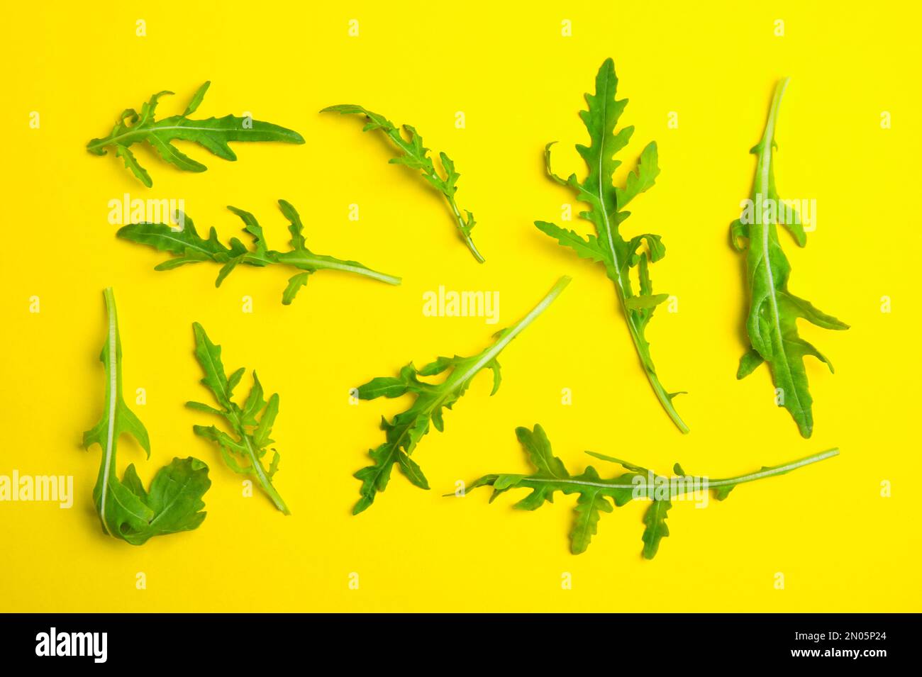 Fresh arugula on yellow background, flat lay Stock Photo - Alamy