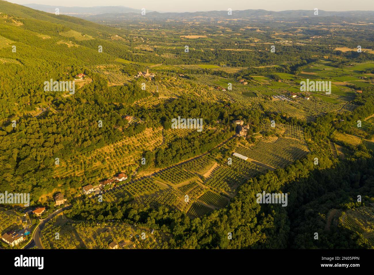 Drone photography of italian rural scene and olive tree farm fields ...