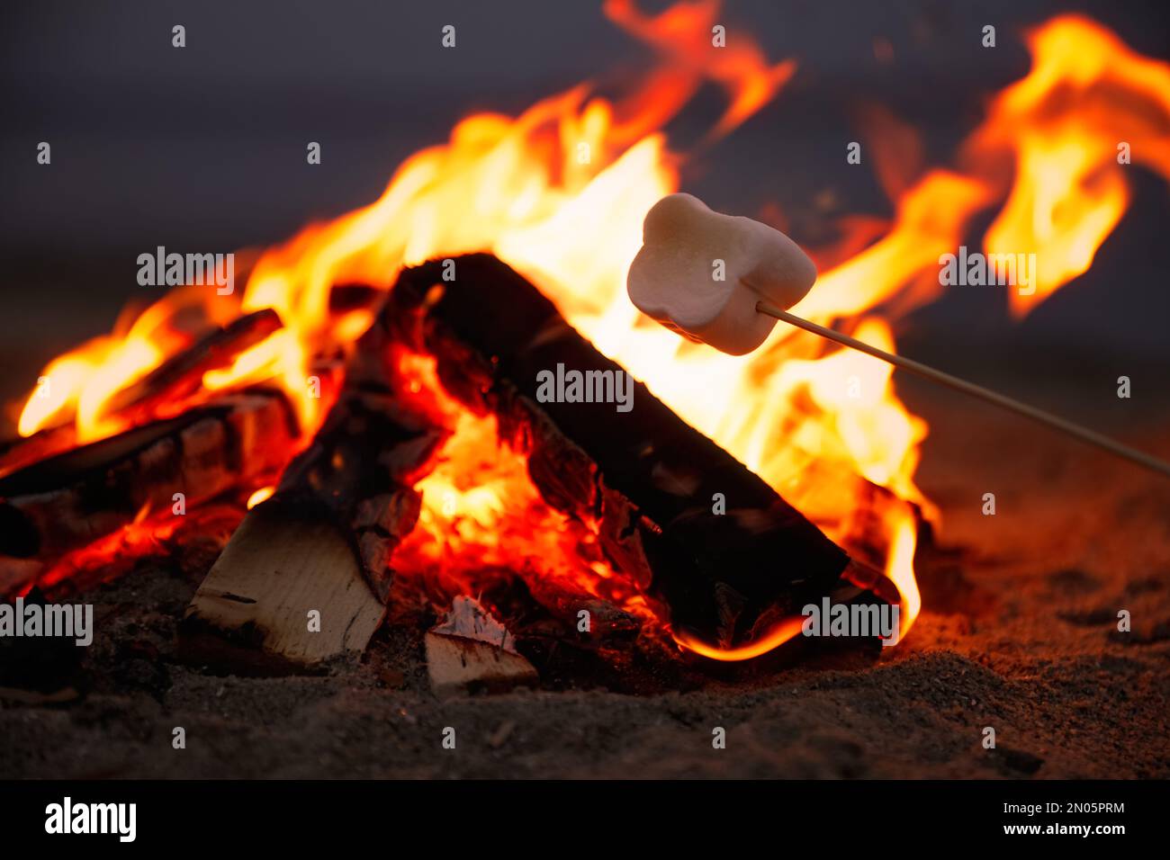Roasting marshmallow over burning firewood on beach, closeup Stock ...