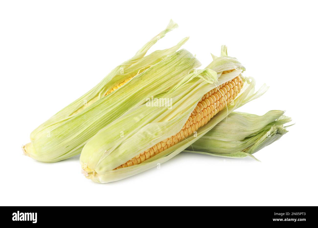 Ripe raw corn cobs with husk on white background Stock Photo - Alamy
