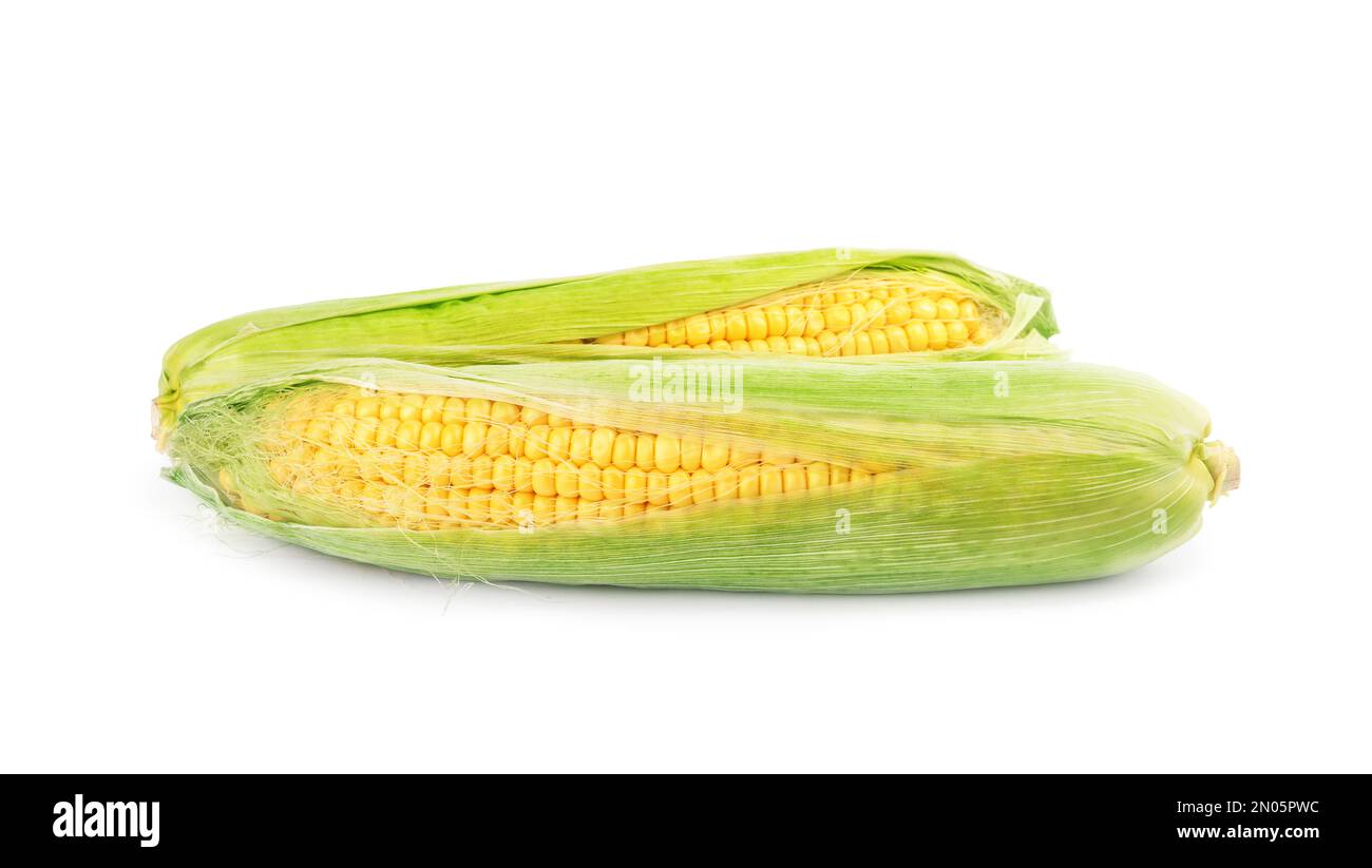 Ripe raw corn cobs with husk on white background Stock Photo - Alamy
