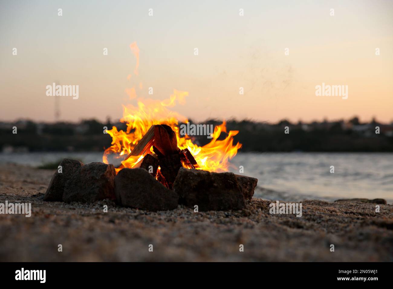 Beautiful bonfire with burning firewood on beach in evening Stock Photo ...