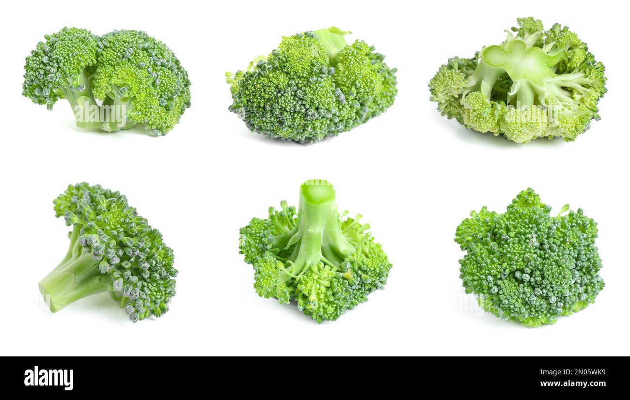 Set of fresh green broccoli on white background Stock Photo - Alamy