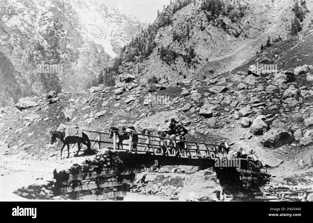 Theodore Roosevelt and his brother Kermit cross a bridge during their ...