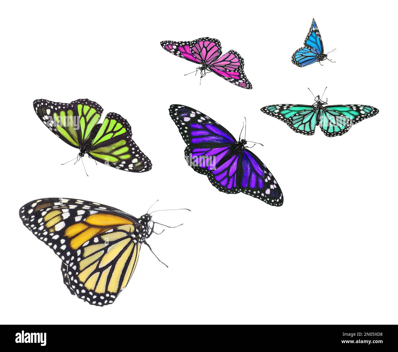 Amazing different butterflies flying on white background Stock Photo ...