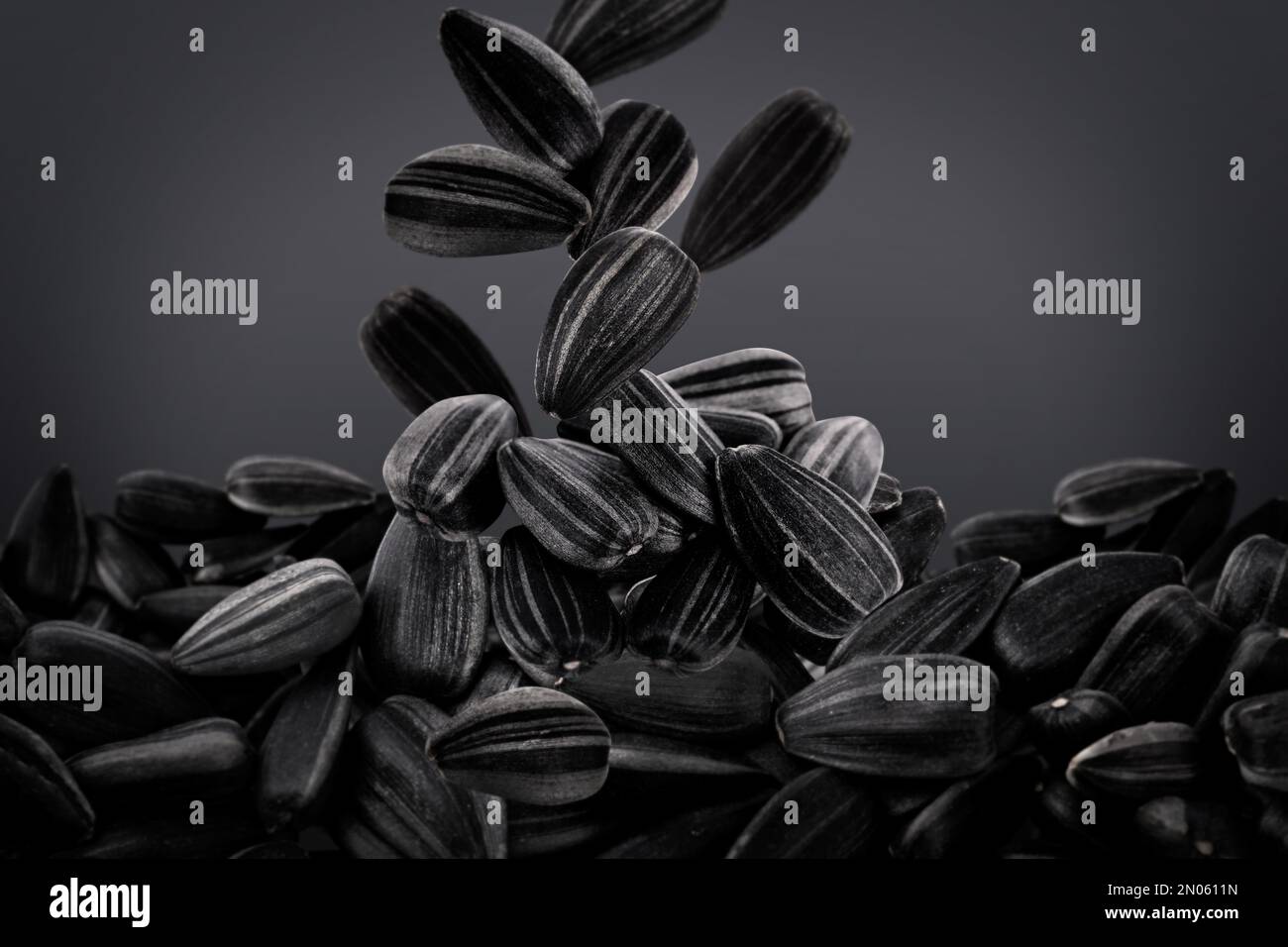 Sunflower seeds falling onto heap on dark grey background Stock Photo ...
