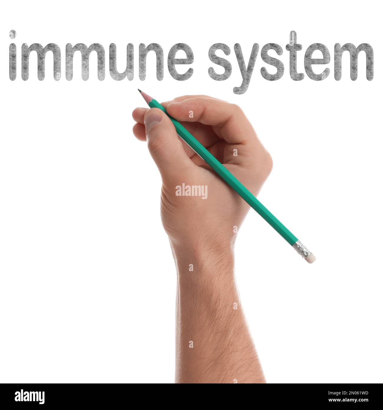 Man writing text Immune System on white background, closeup Stock Photo ...