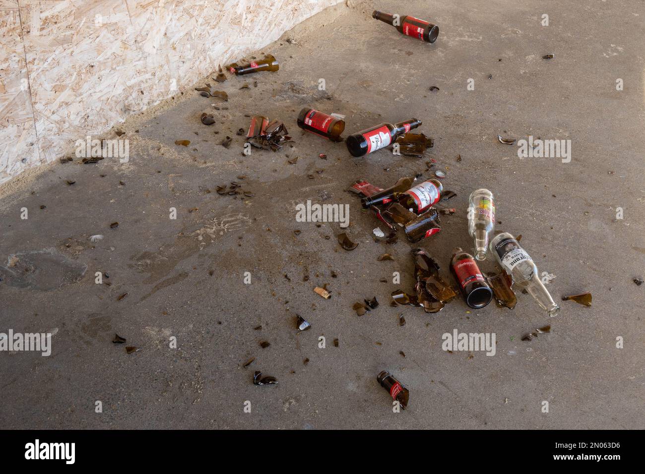 Broken beer bottles laying over pathway Stock Photo - Alamy