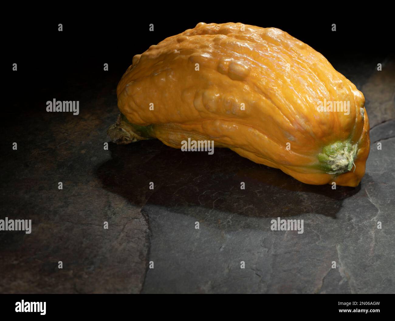 Copy space with a short and fat yellow squash on brown stone Stock ...