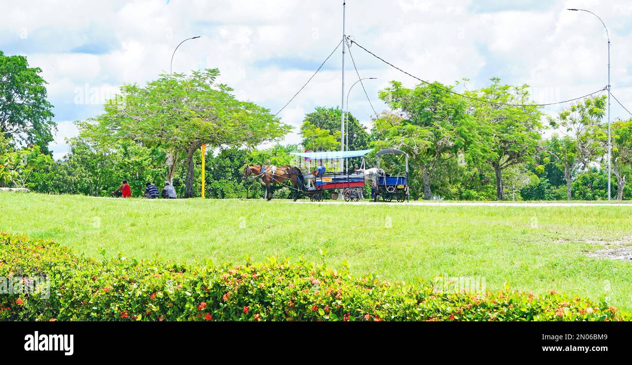 Drag carriage hi-res stock photography and images - Alamy