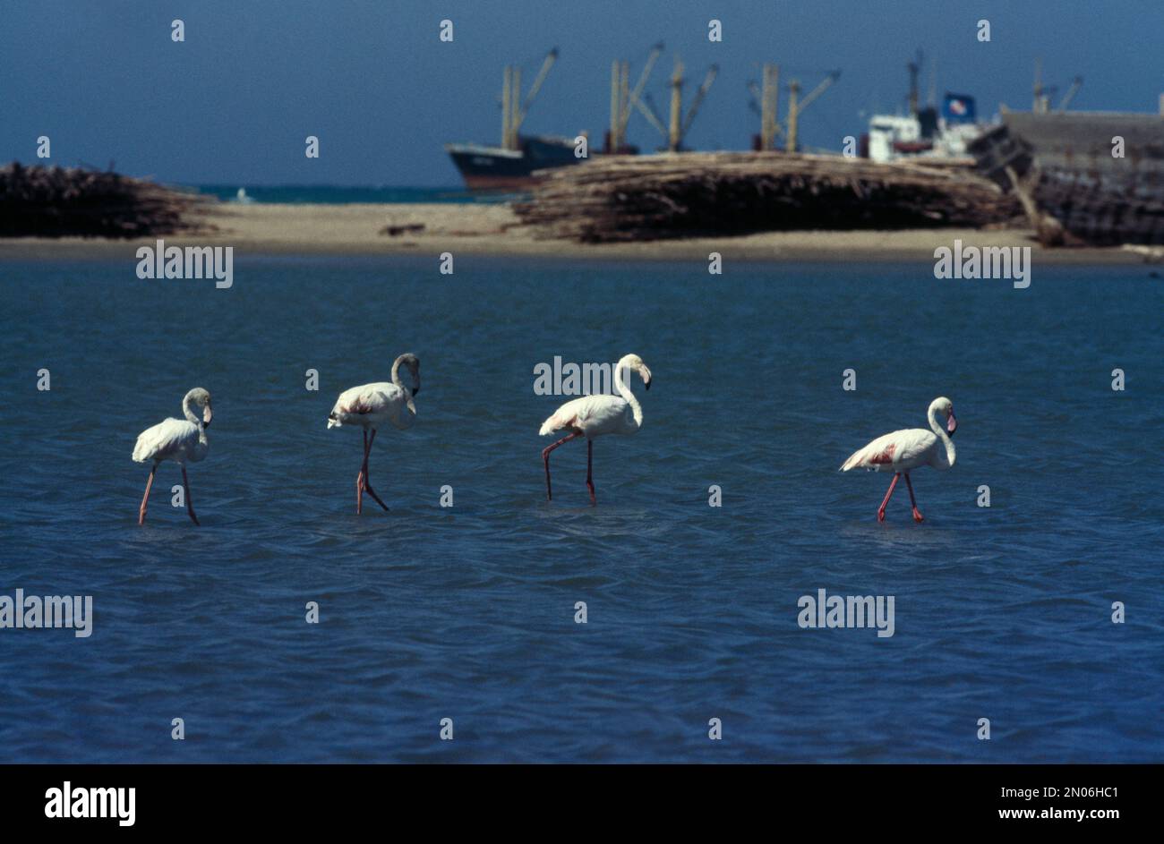 Yemen red sea ship hi-res stock photography and images - Alamy